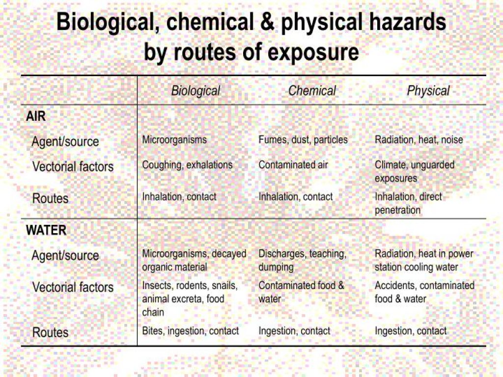 Avoiding Safety Hazards on the Job - Centrinity